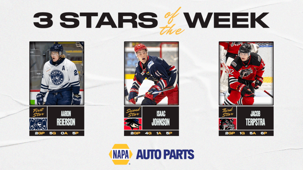 Reierson, Johnson, Terpstra named NAPA Auto Parts 3 Stars of the Week ...